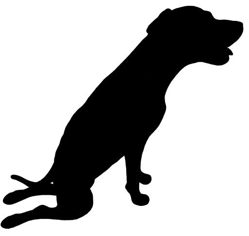 Animal Rescue - Saving Sylvie Rescue Inc