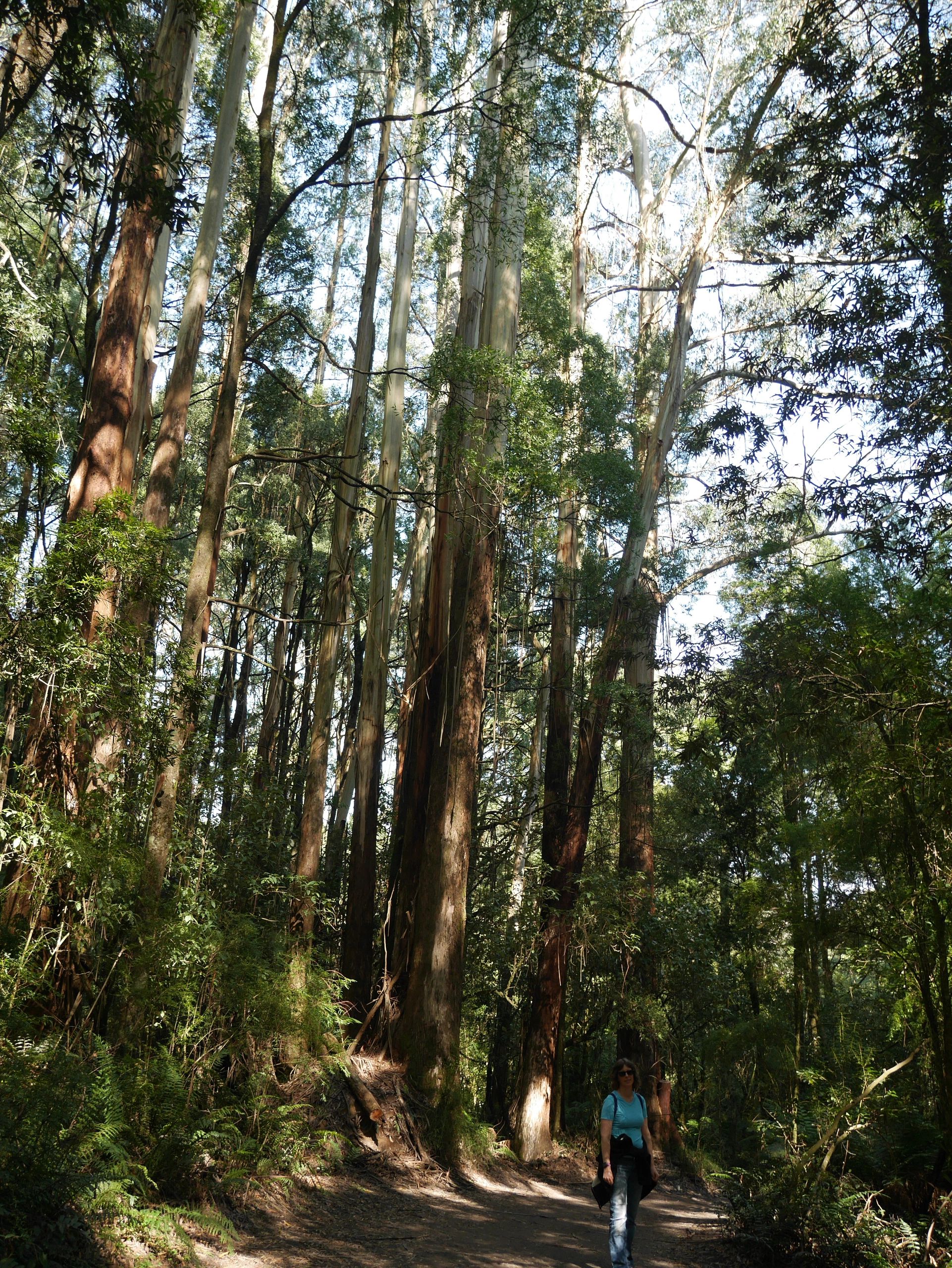 General Practice Doctor - Ashburton Medical Clinic