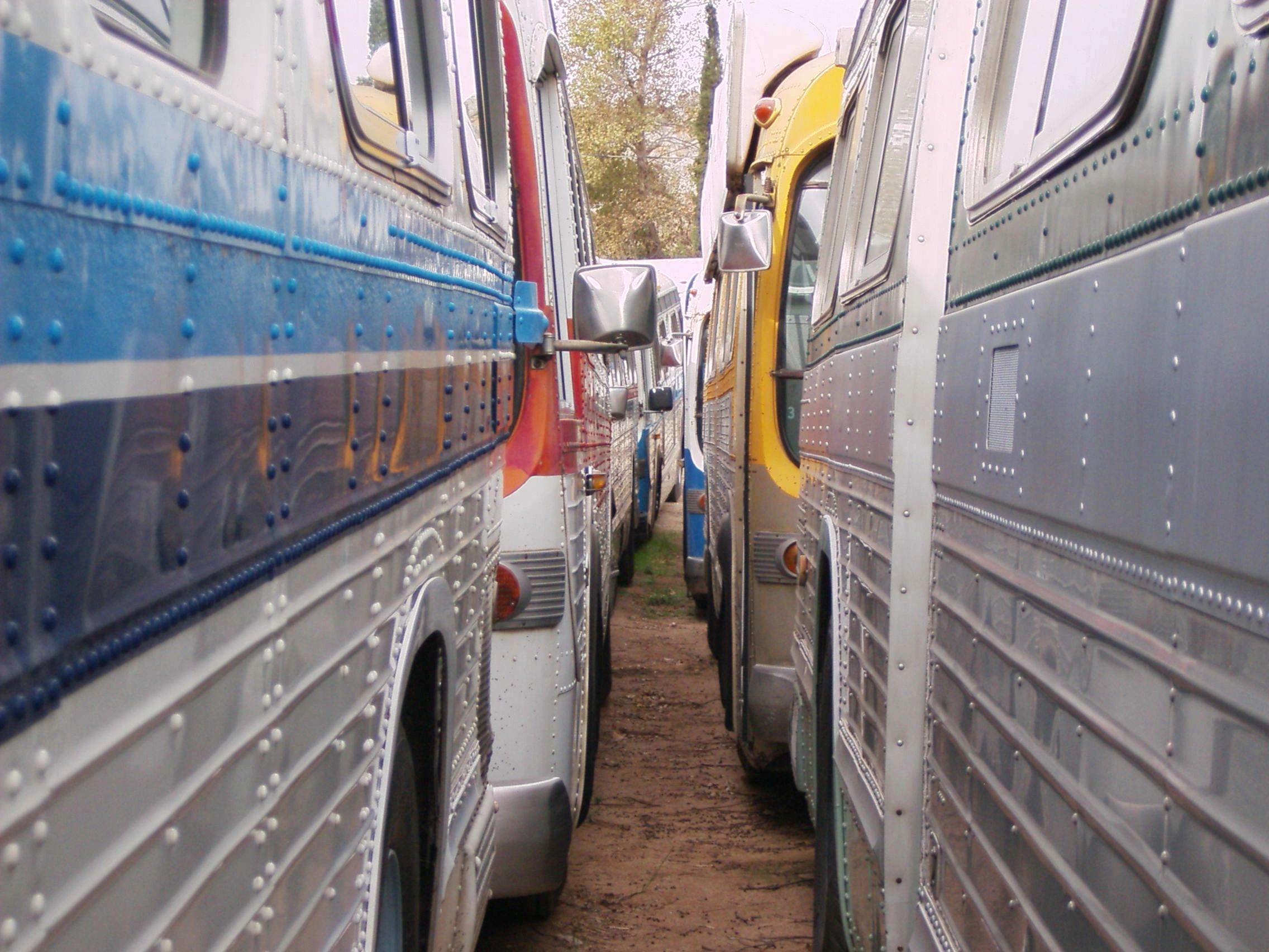 Dreamliner Bus Leasing & Service