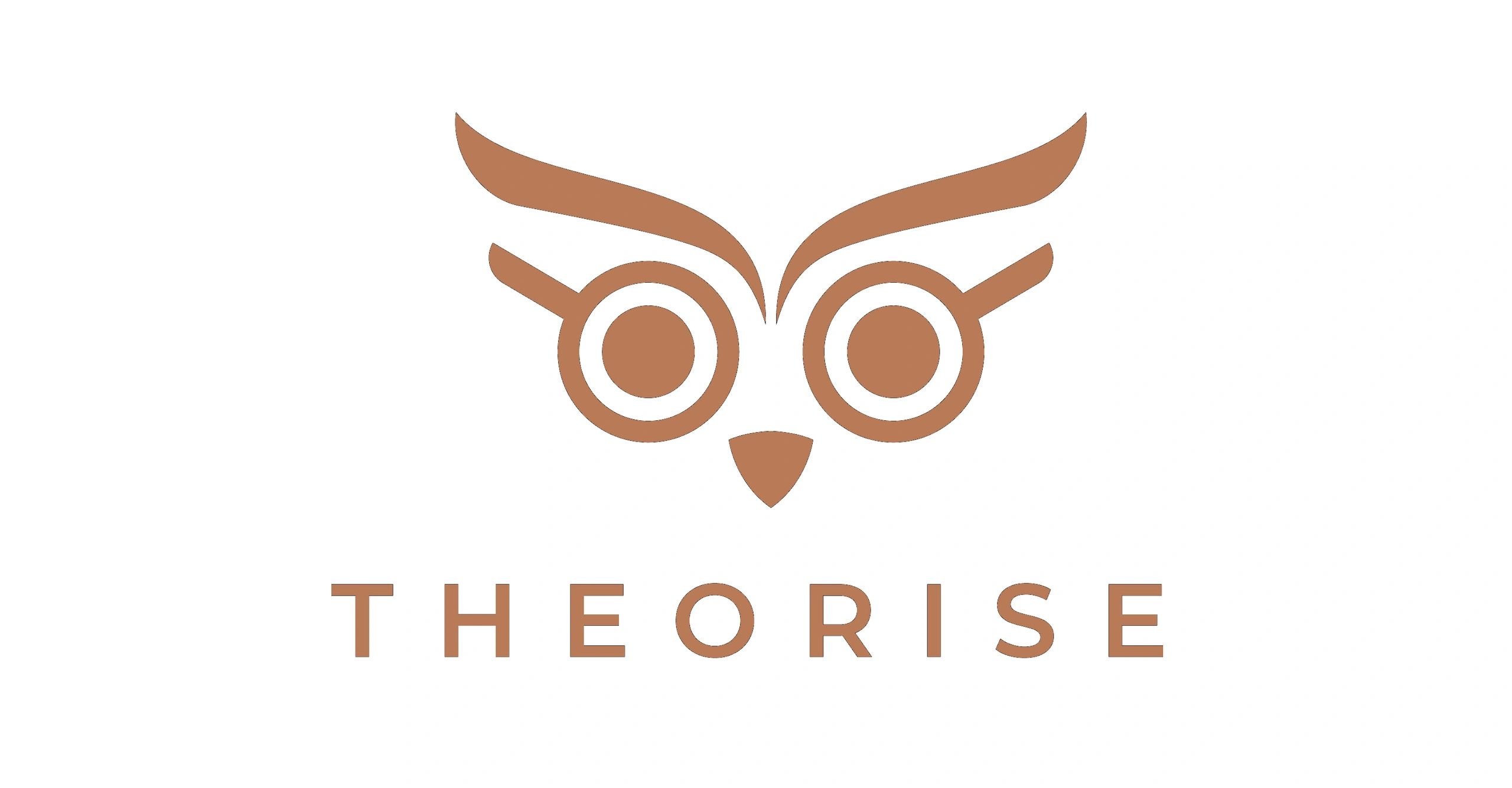 Student Support - Theorise Ltd