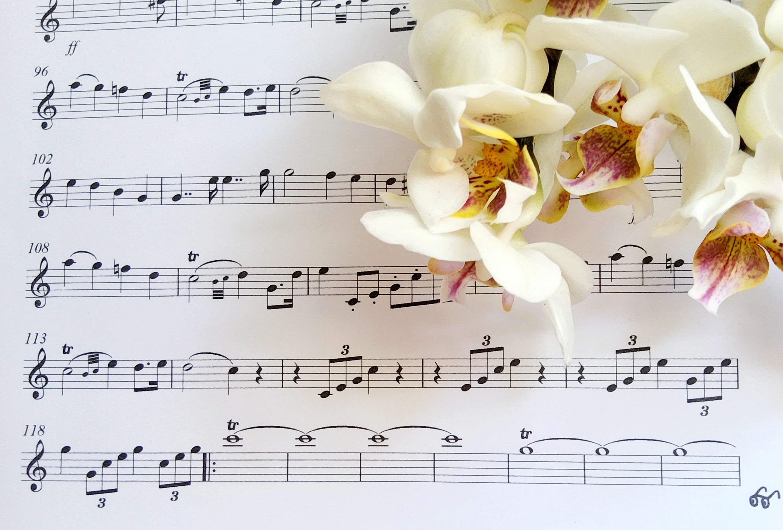 Beautiful Classical Music