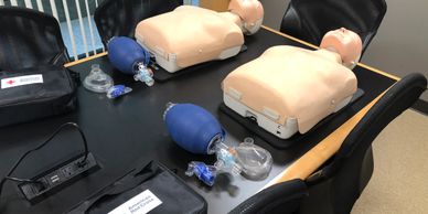 BLS Training Centers - Home