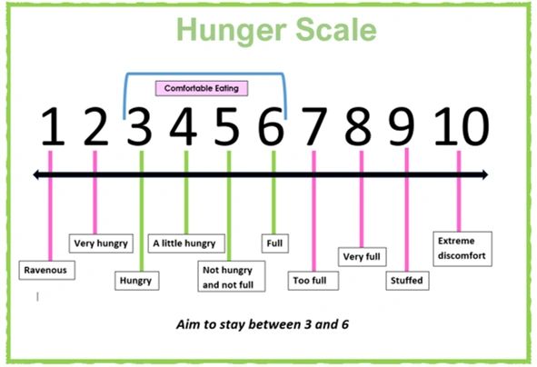 The Hunger Scale