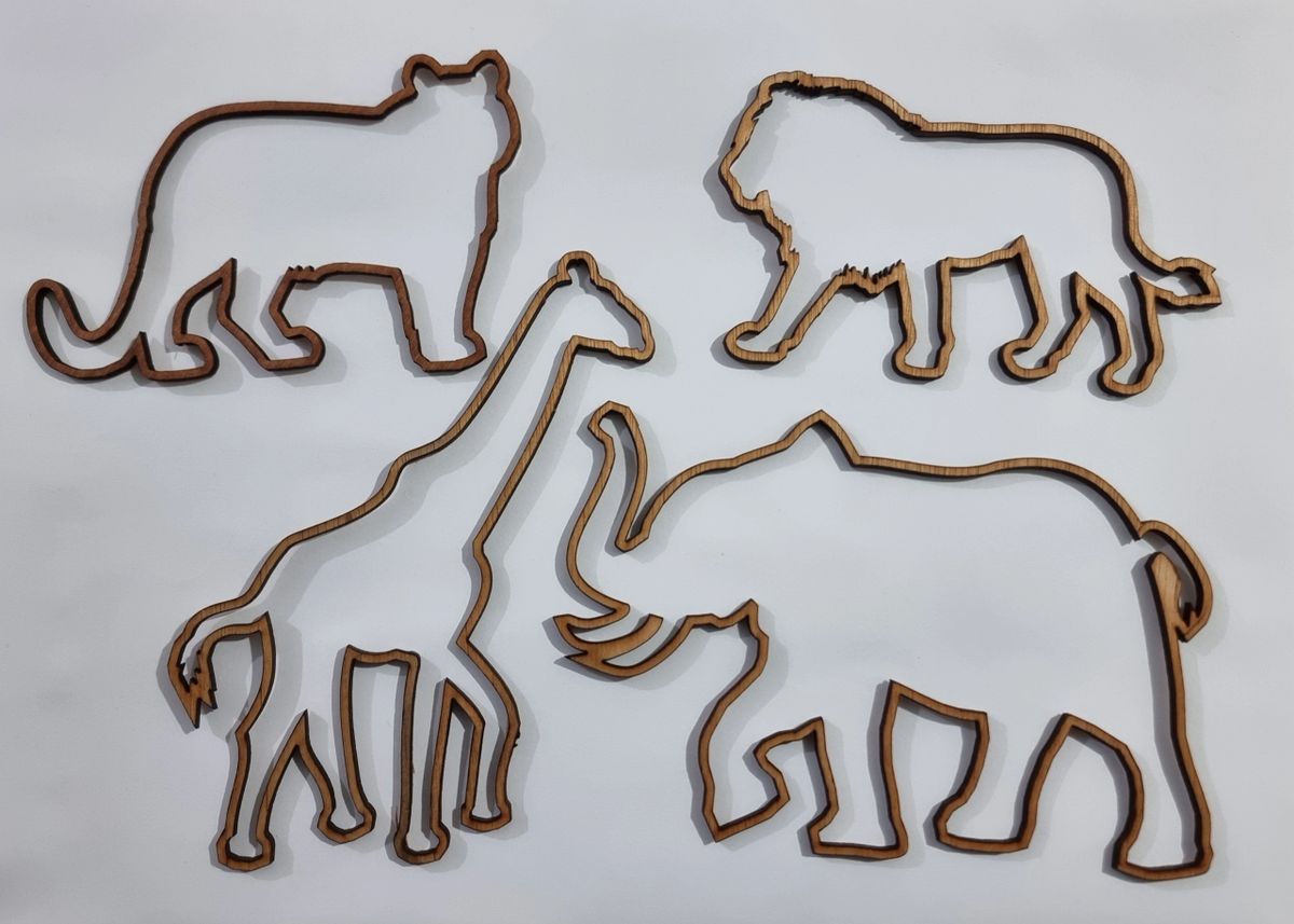 Special Safari Shapes Set