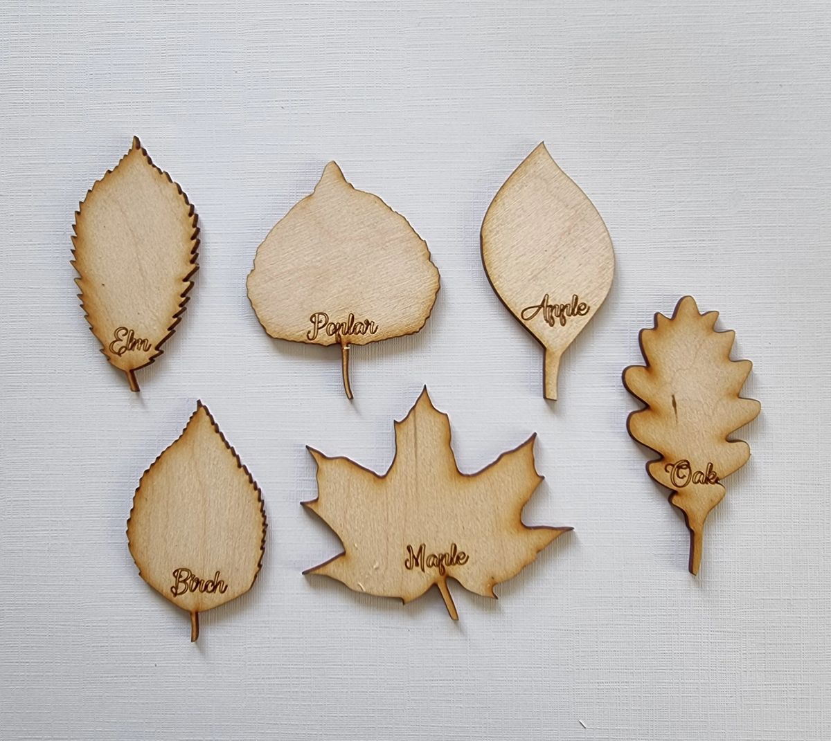 Wooden and Acrylic Shapes