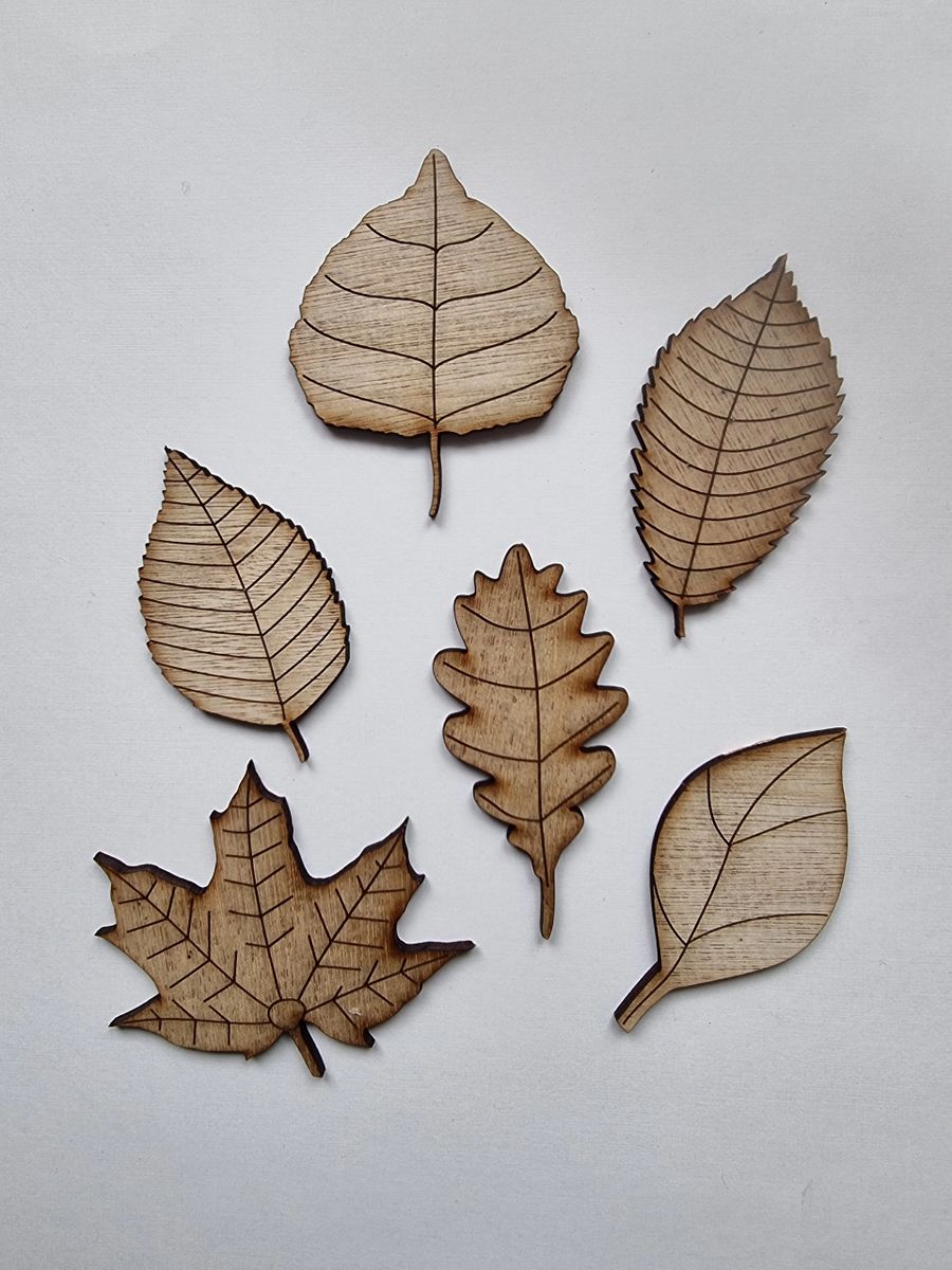 Detailed Solid Leaf Shapes Set