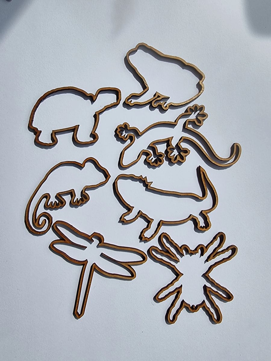 Special Exotic Shapes Set 1