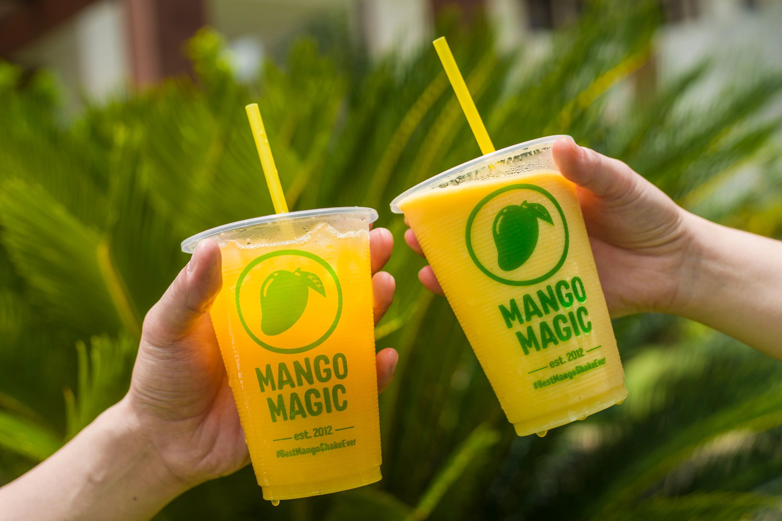 Mango Magic PH - Mango, Shake, Food and Drink