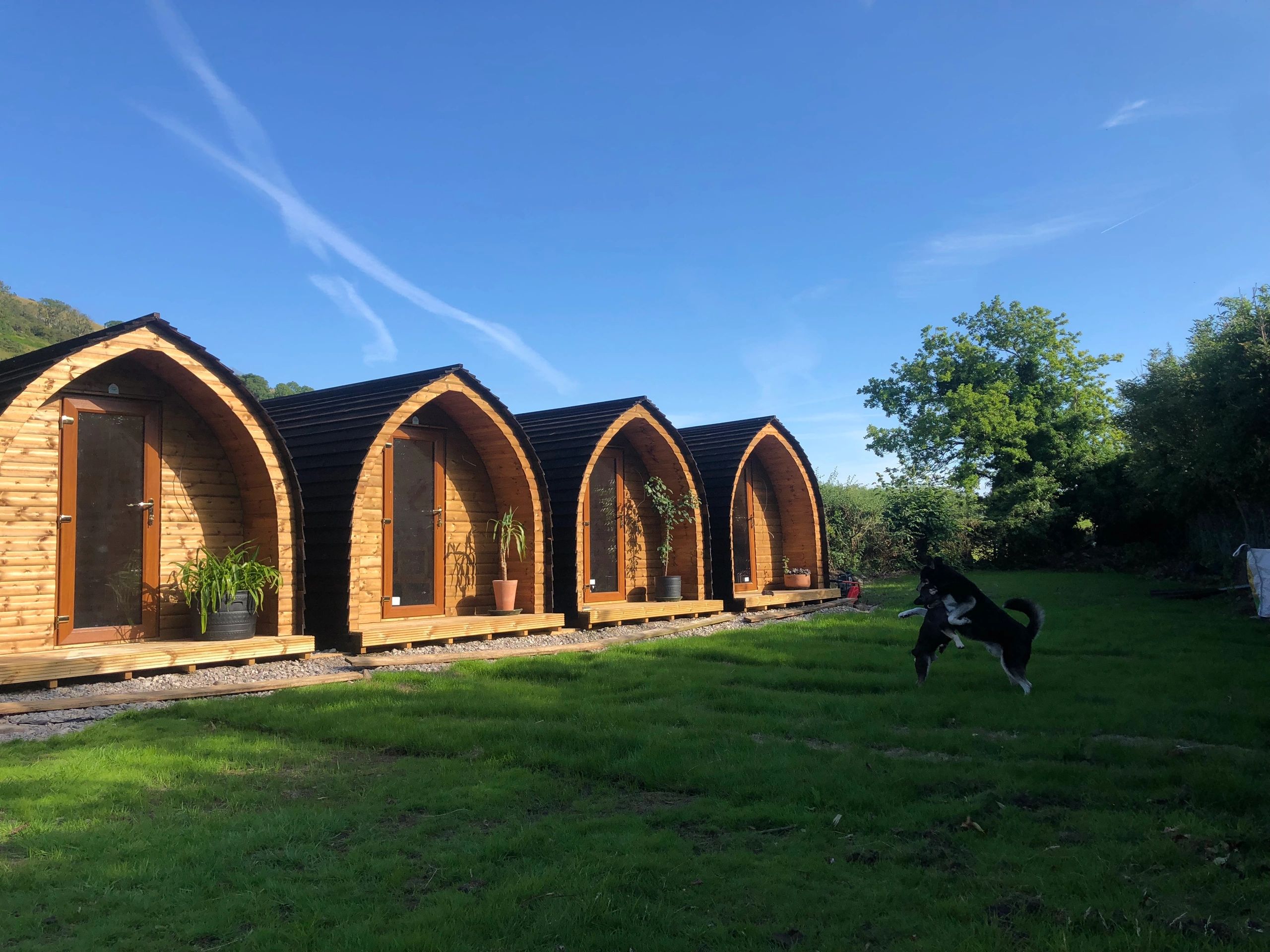 BOARDING | Pooch Pods