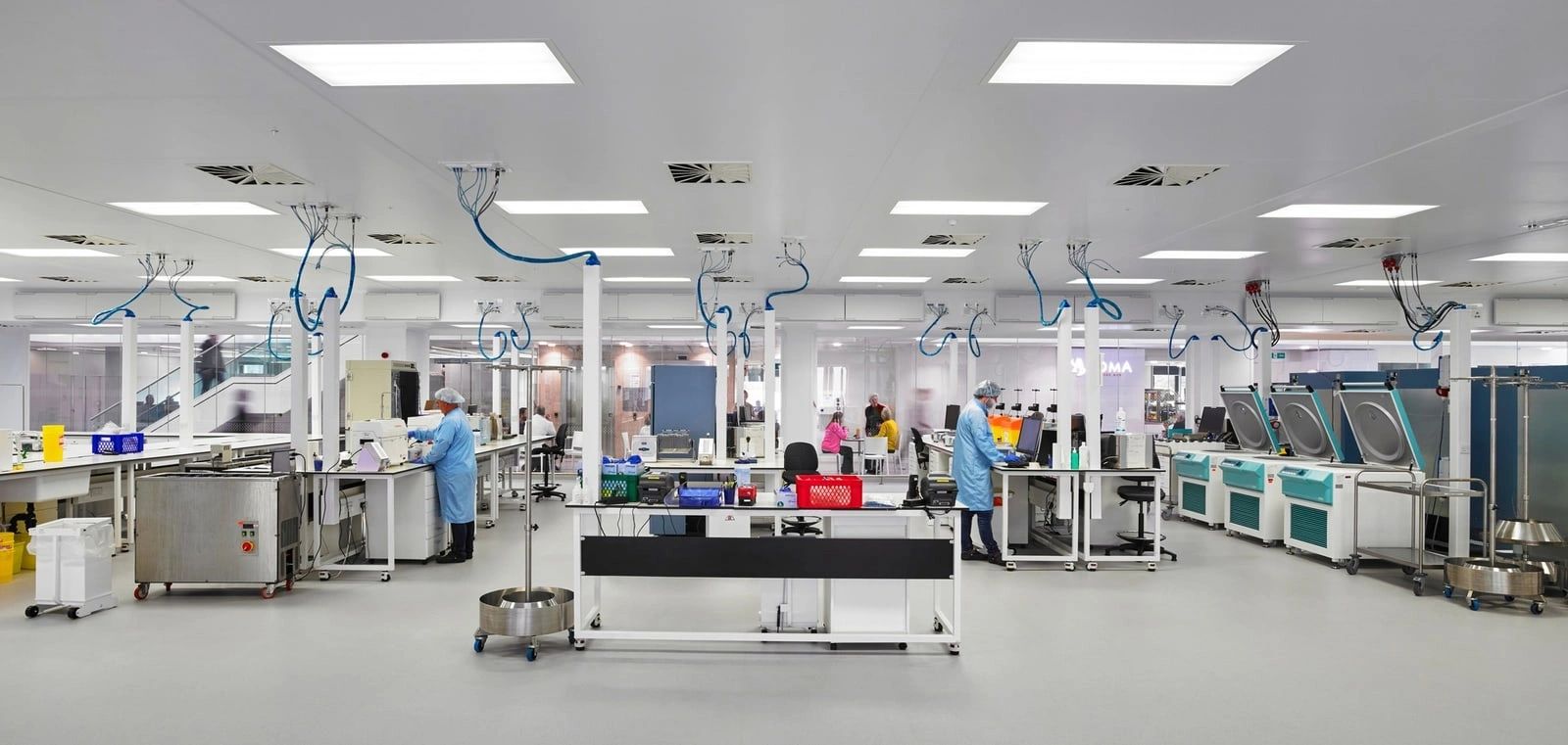 iPSC Company Database | Lindville Bio