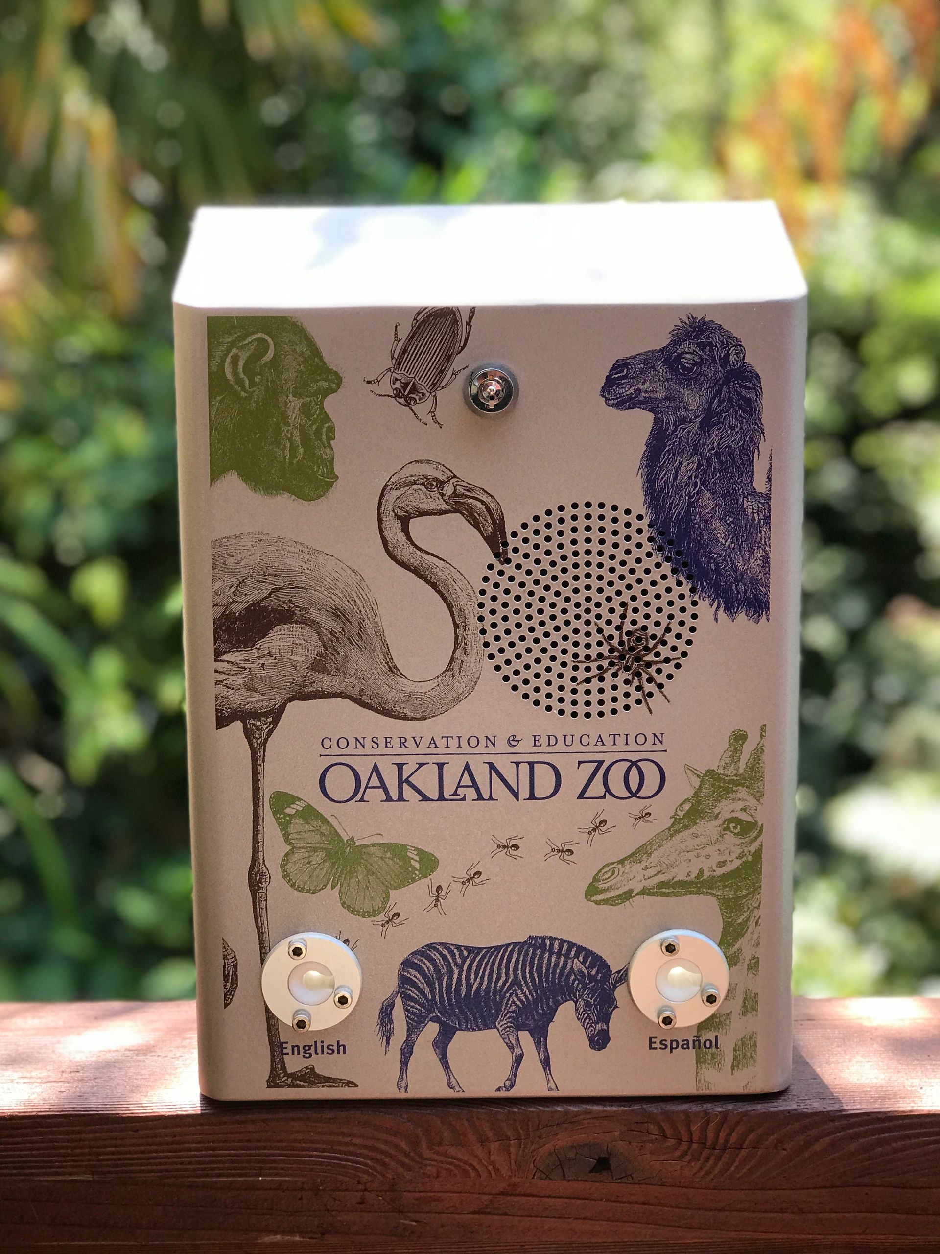 Zoo Keys - The Talking Storybook Company