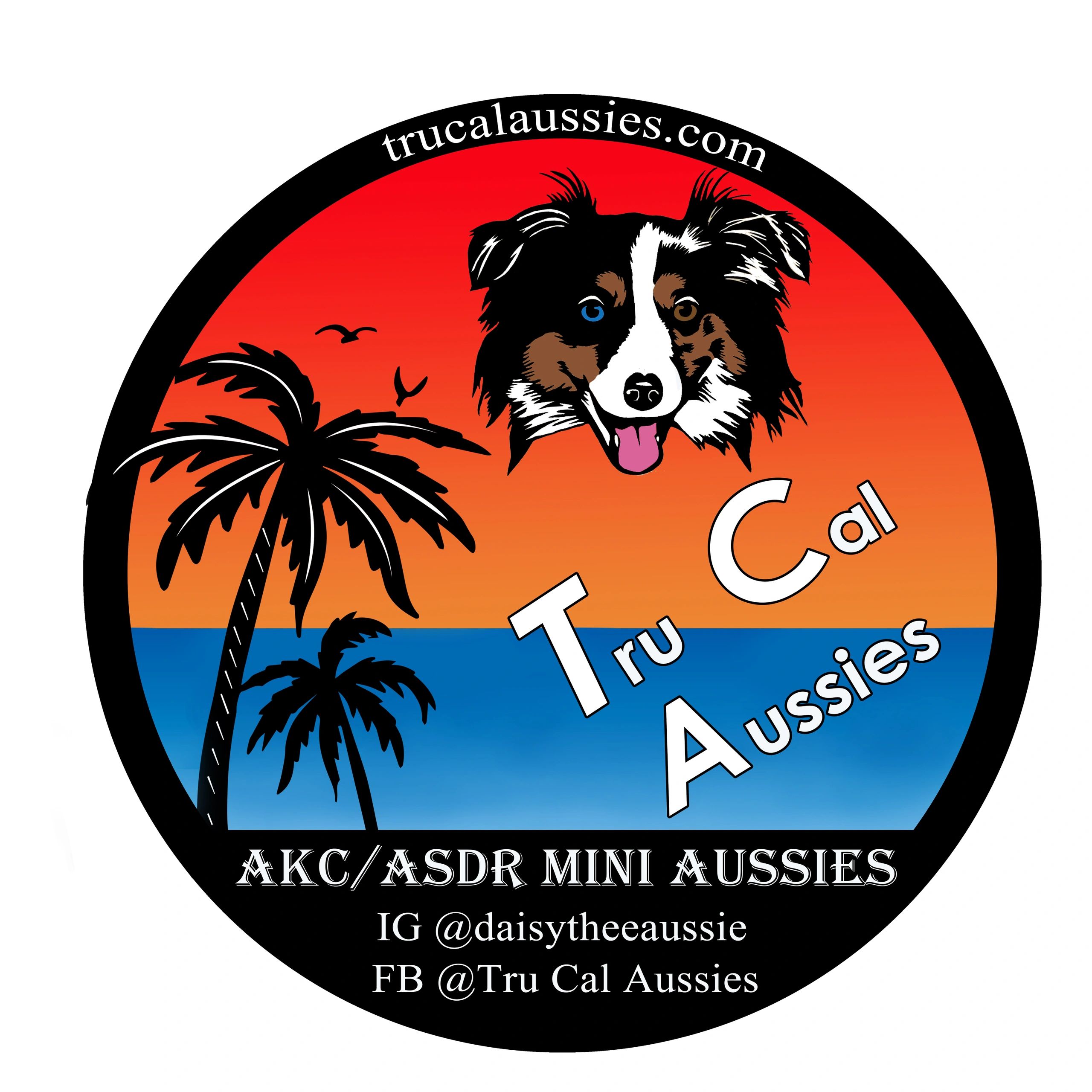 Tru Cal Aussies