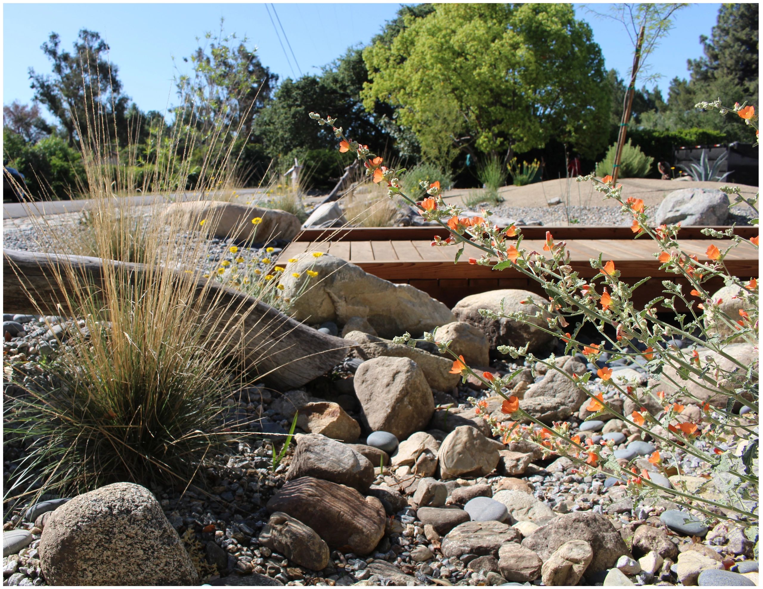 Water Wise Landscaping Services | BENTSON LANDSCAPE