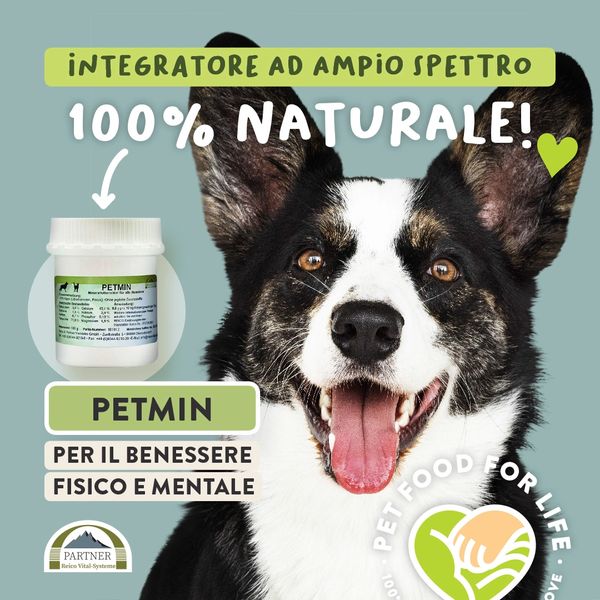 Pet Food for Life - Reico, benessere e cura