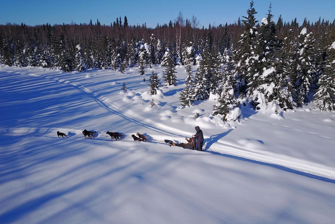Fairbanks Dog Sled Rides with Two Rivers Trailblazers, LLC