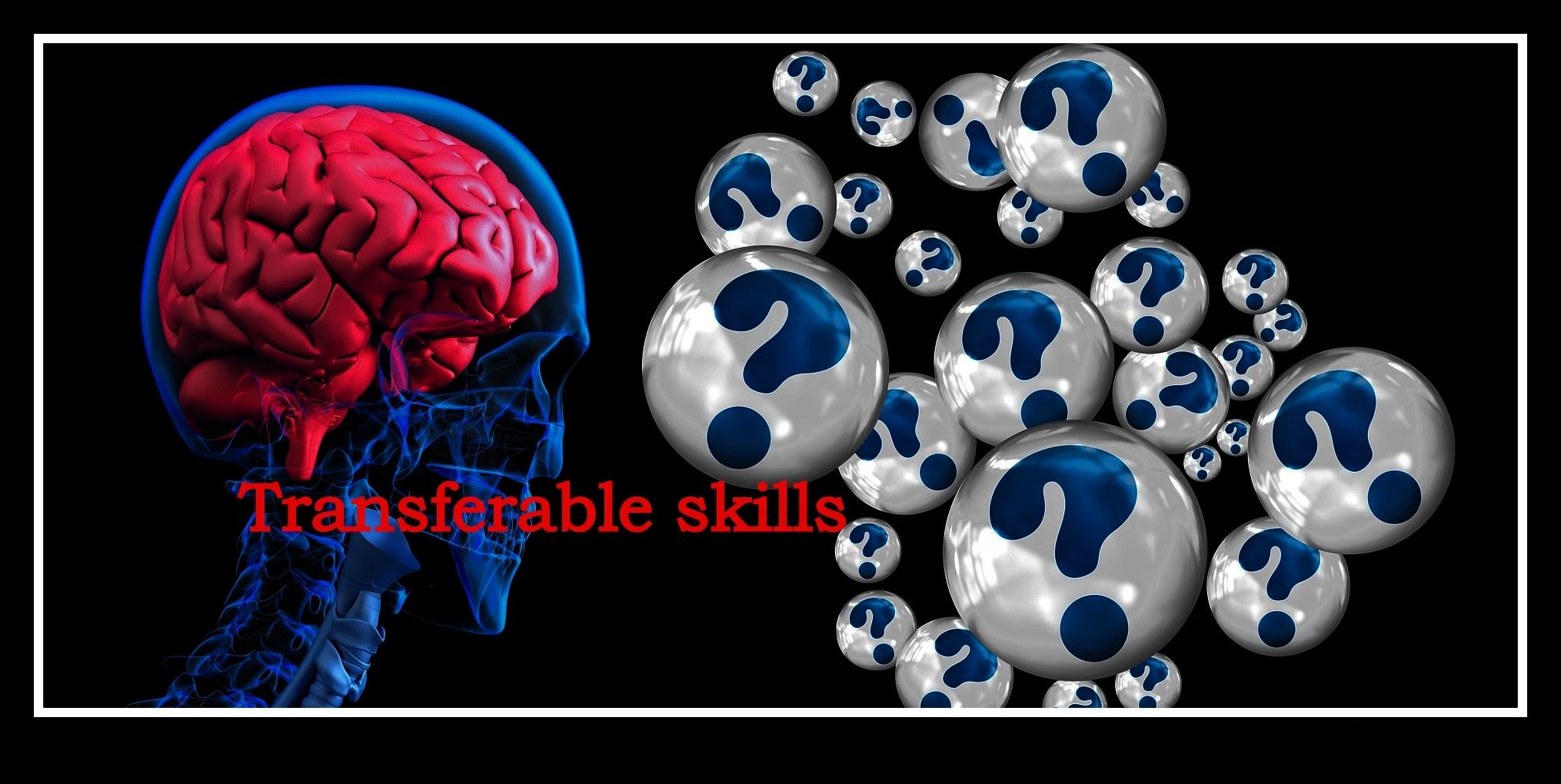 Transferable skills - what are they and do I have them?