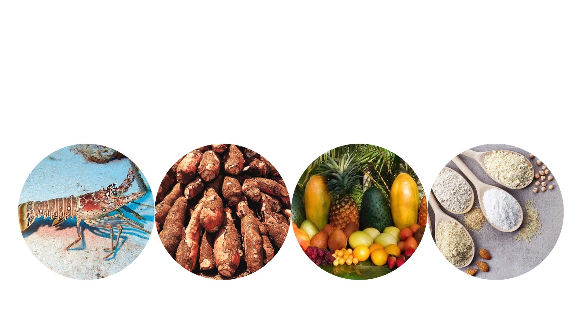 Foodstreamcorp.com
