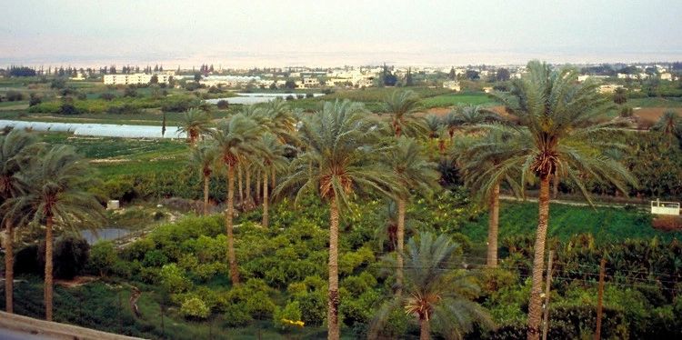 Where do our Medjool Dates come from?