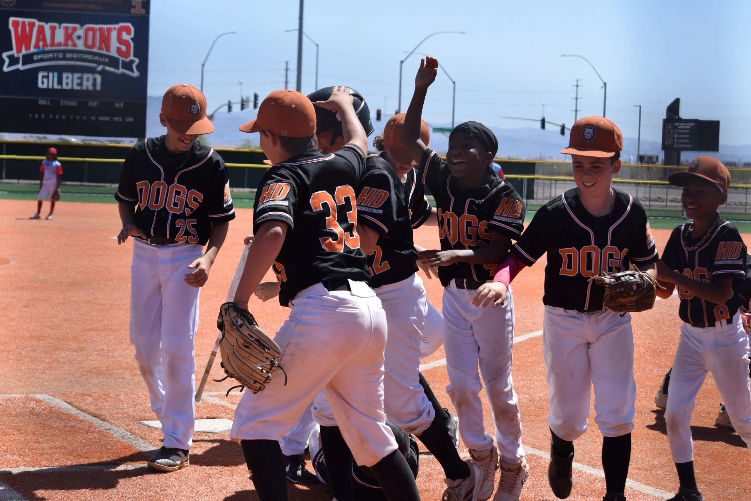 Meet Our Coaching Staff | Hit Dogs Baseball Club Leadership