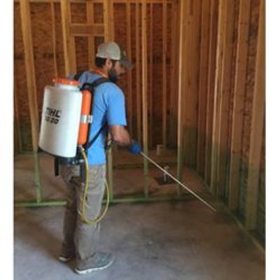 Termite Control | Wilson Services