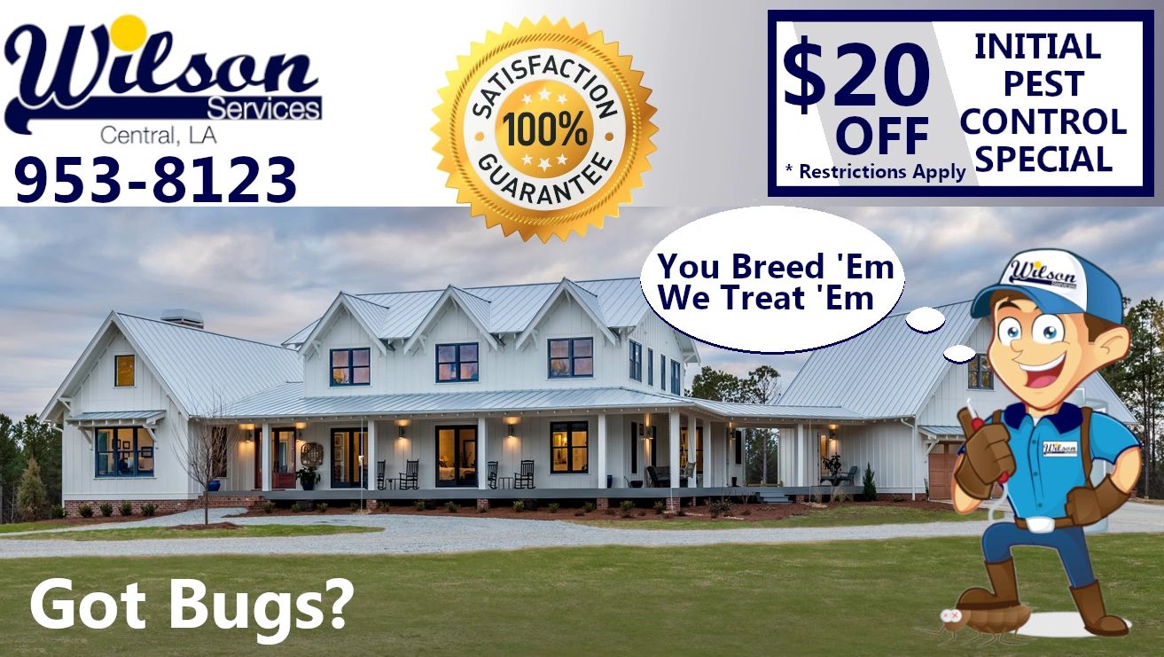 Pest Control, Termite - Wilson Services - Central, Louisiana