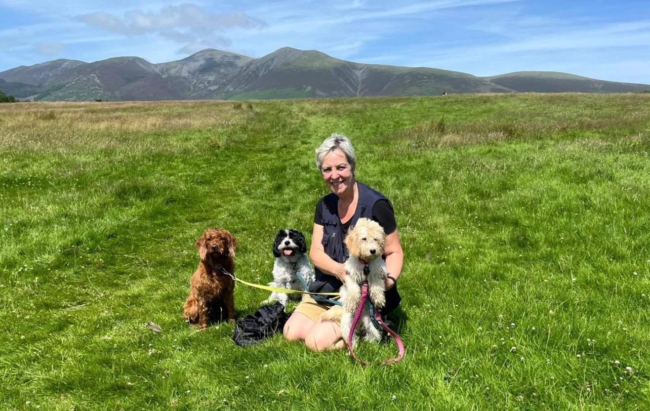 Rutland Rovers - Dog Walking, Pet Services