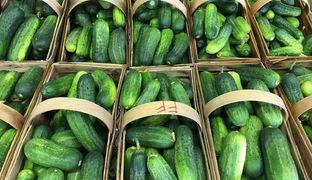 Available Now | Fitch's Farm Market