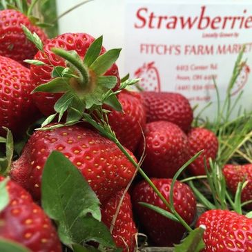 Fitch's Farm Market