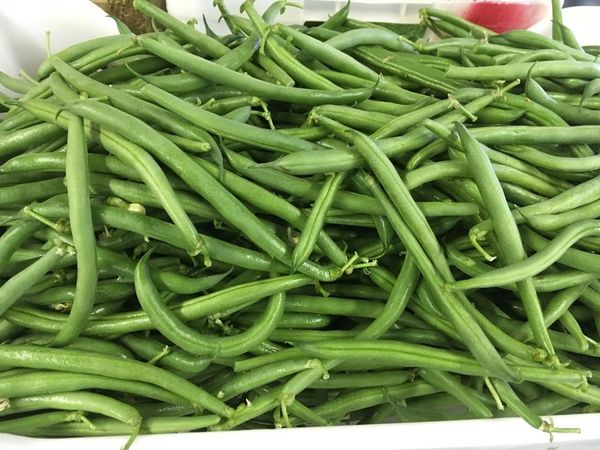 Pick-Your-Own | Fitch's Farm Market