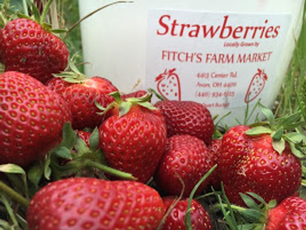 Pick-Your-Own | Fitch's Farm Market