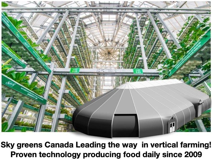 Reimagine Food Sustainability: Local Vertical Farming in Canada