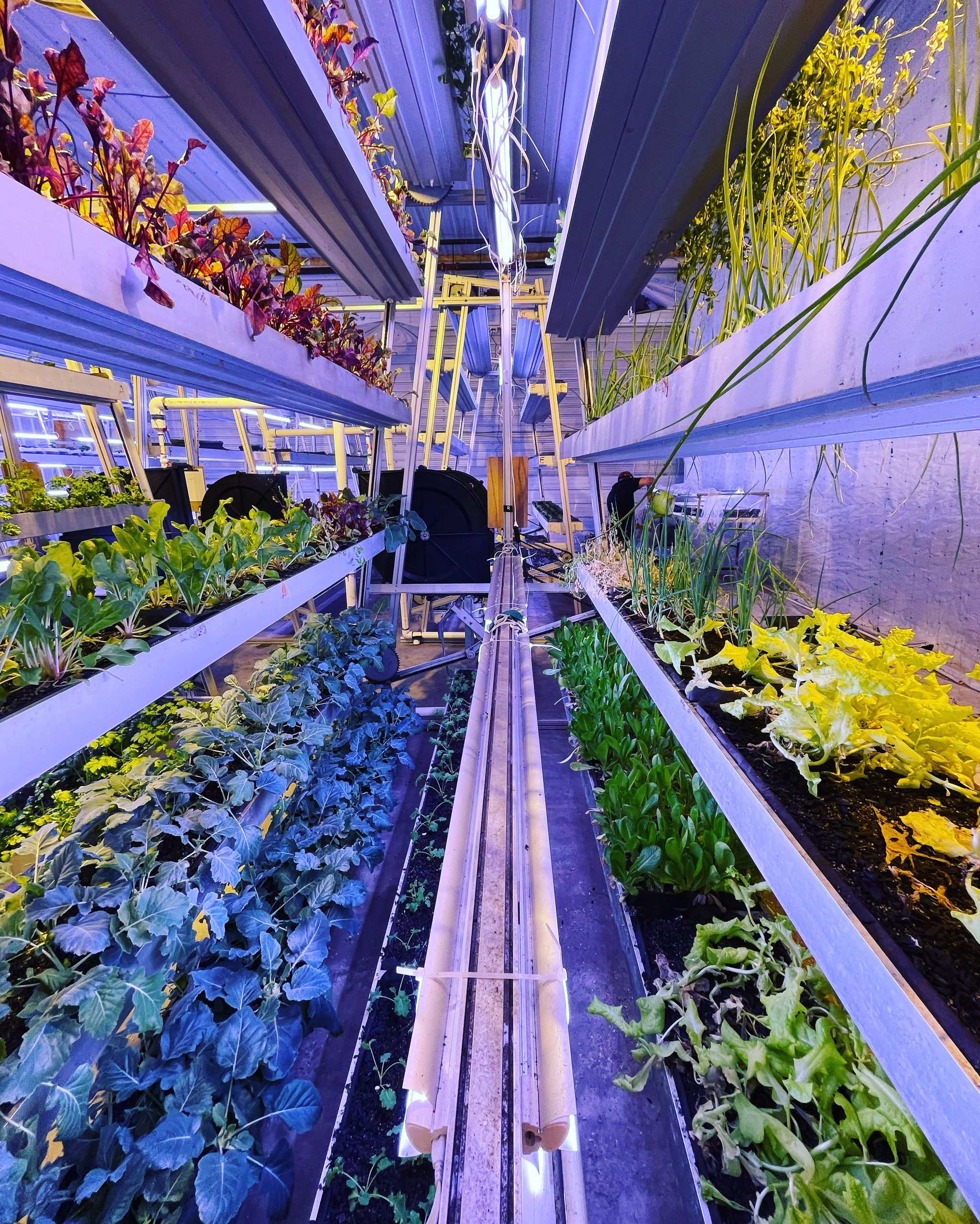 "Grow Up Don't Go Up": The Rotating Towers of Sky Greens Canada