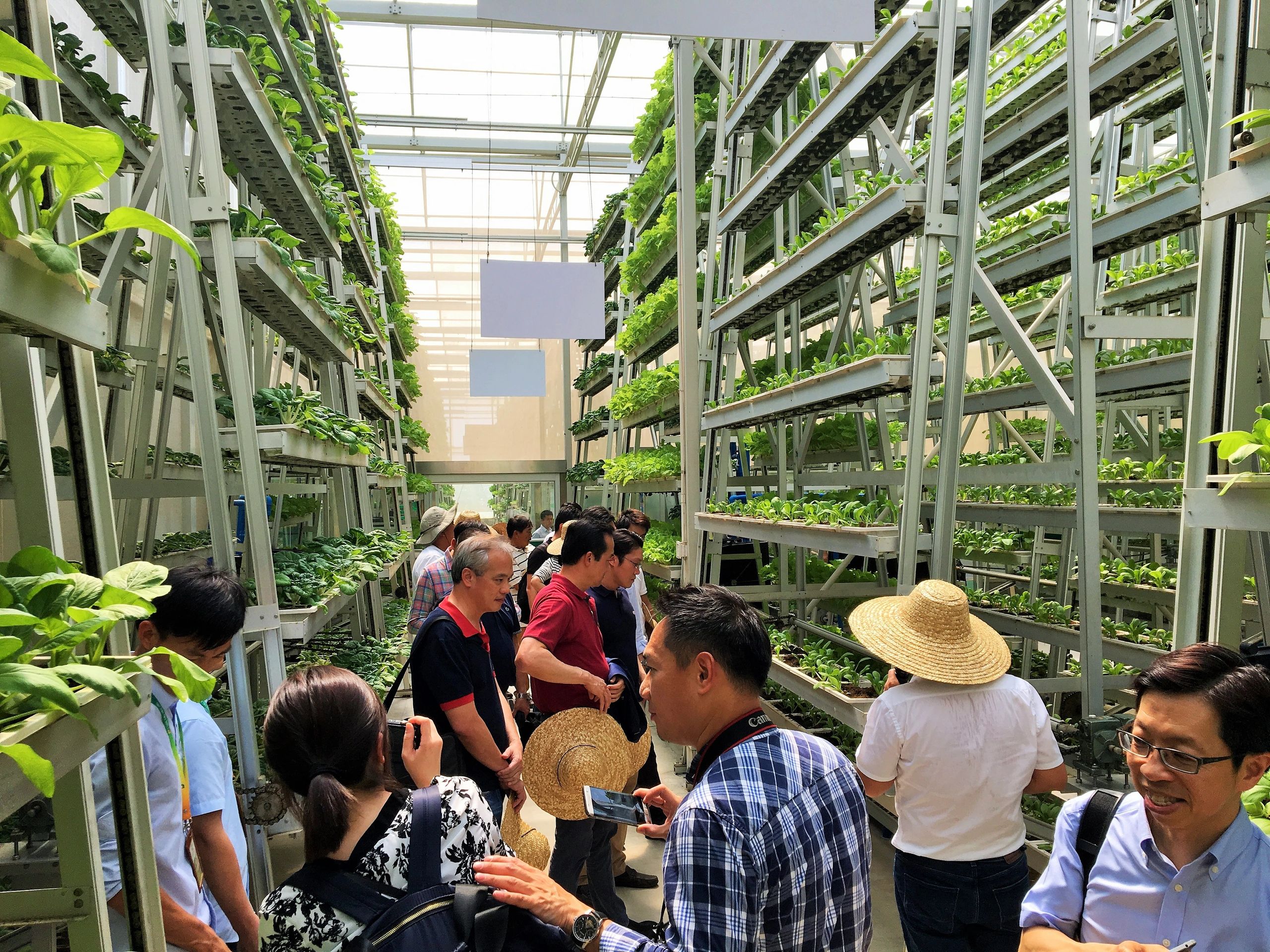 Problem Reaction Solution