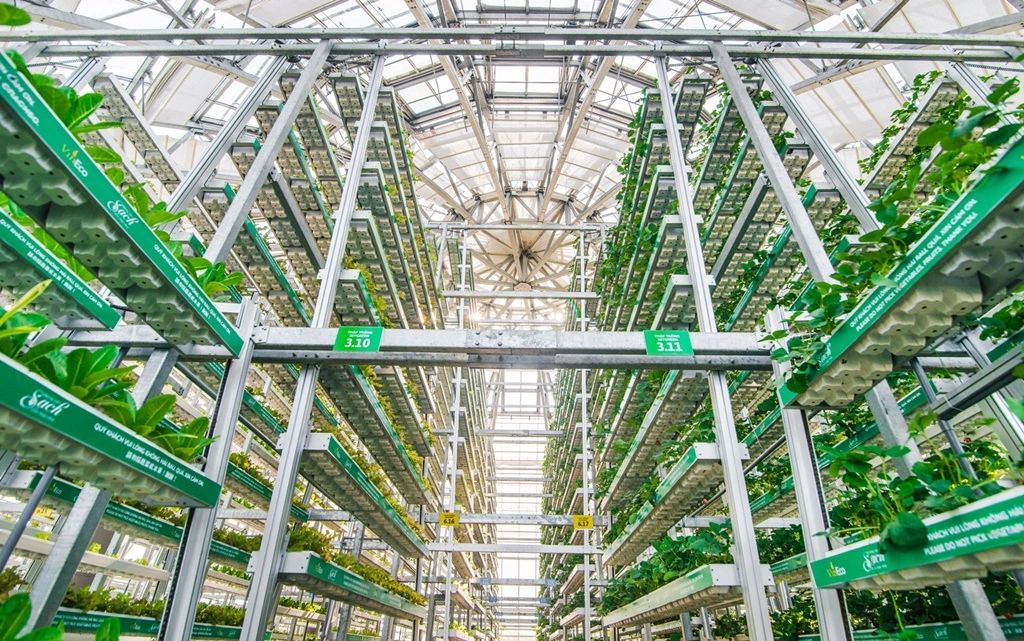 Vertical Farming: Singapore’s Solution