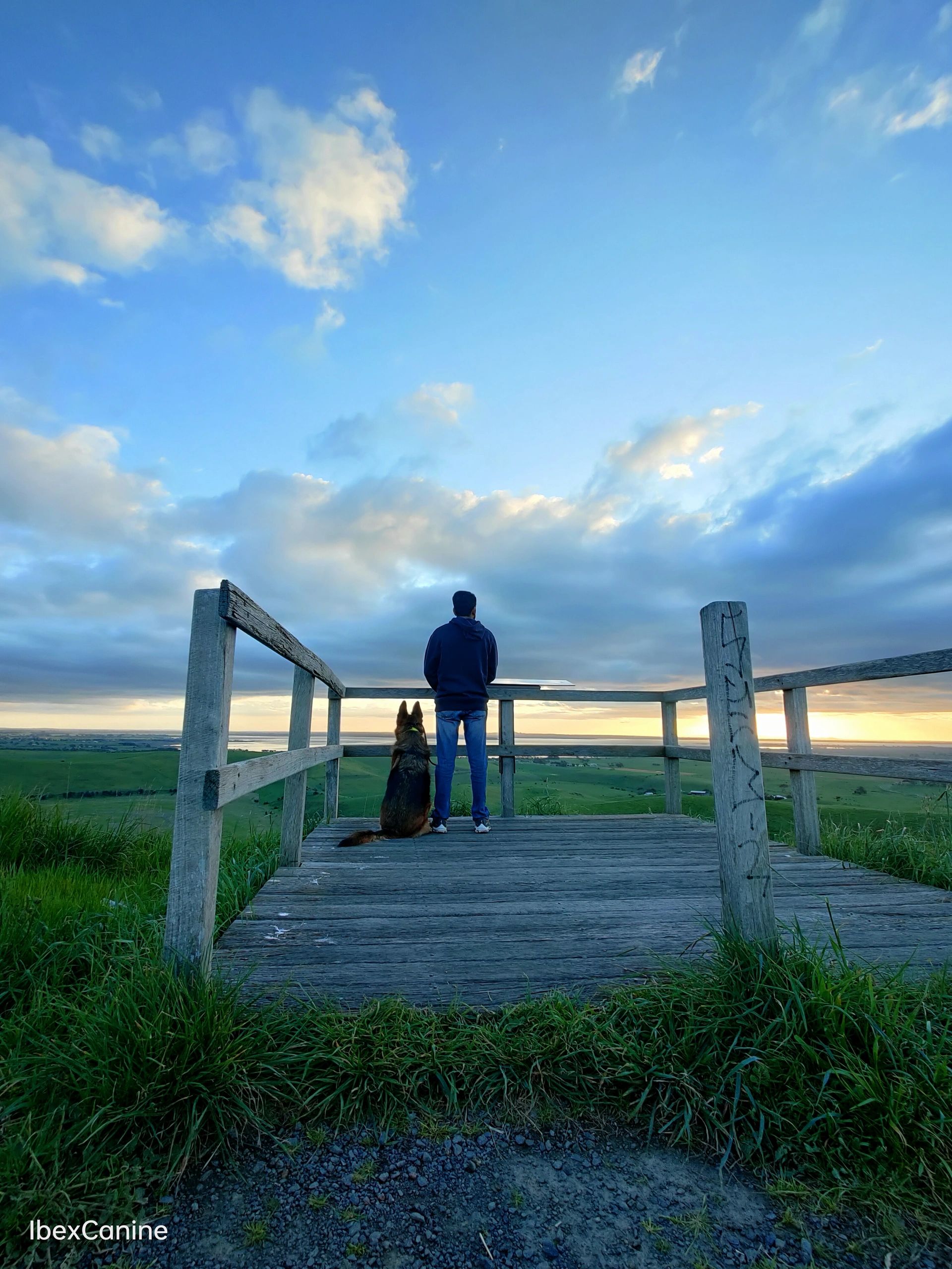 Services | Ibex Canine Training & Behaviour