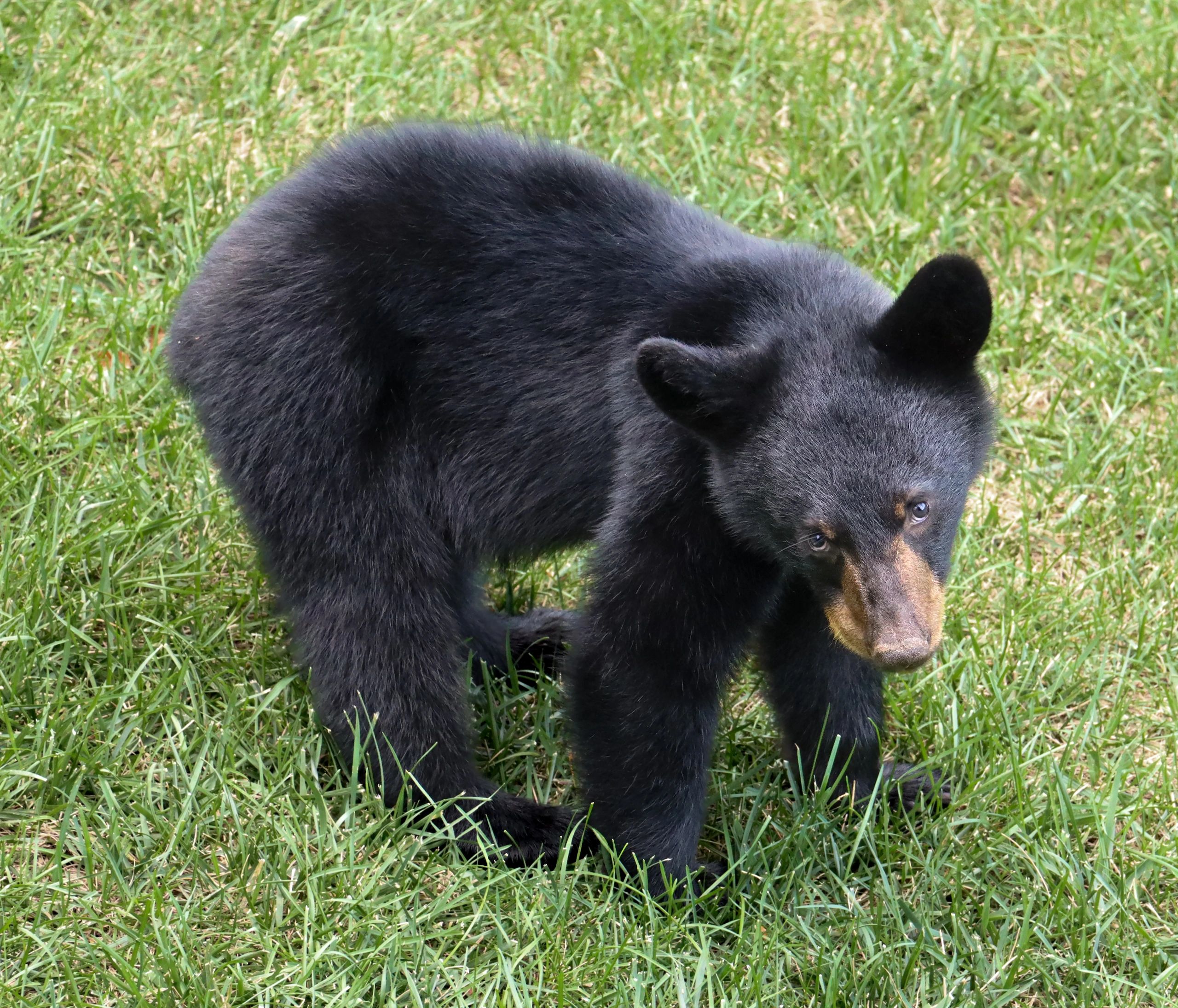 HOME [deejaekelphotography.com]