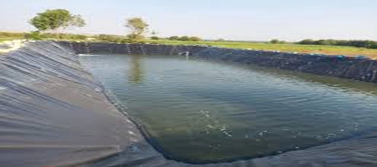 What is Fish Farming?