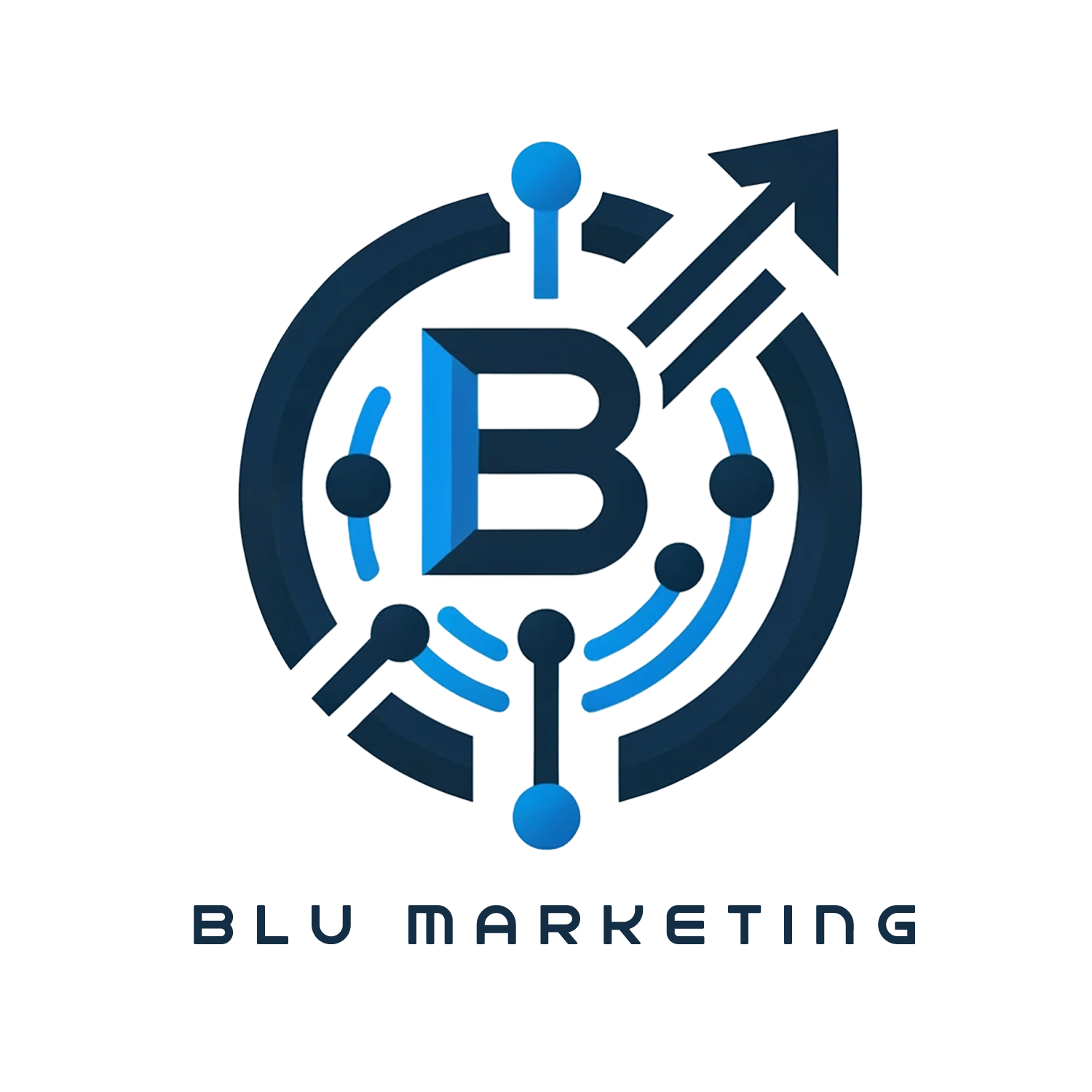 The Blu Marketing
