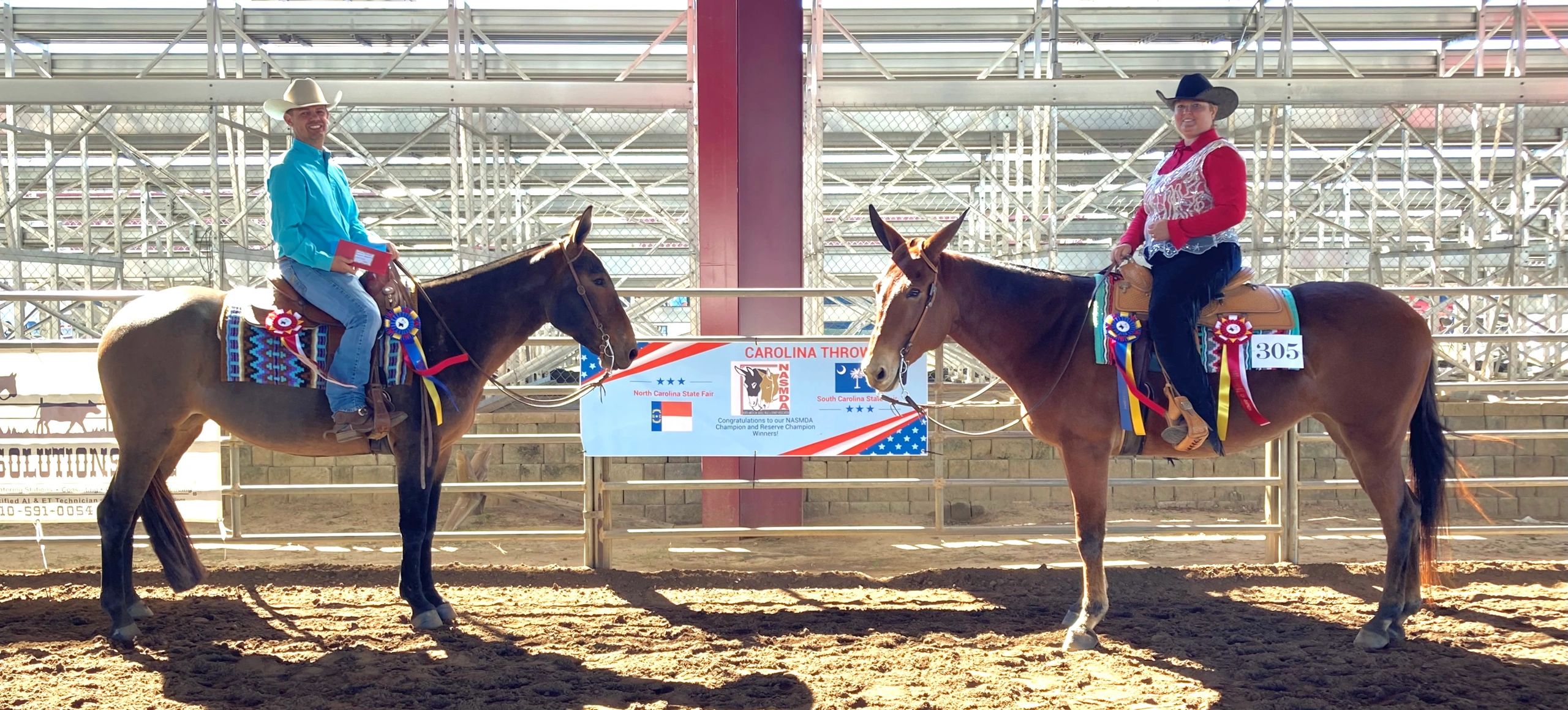 SCStateFairDonkeyMuleShow