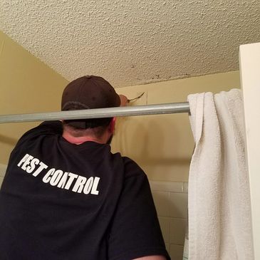 Pest Control / Exterminator Waco - Cen-Tex Pest Control