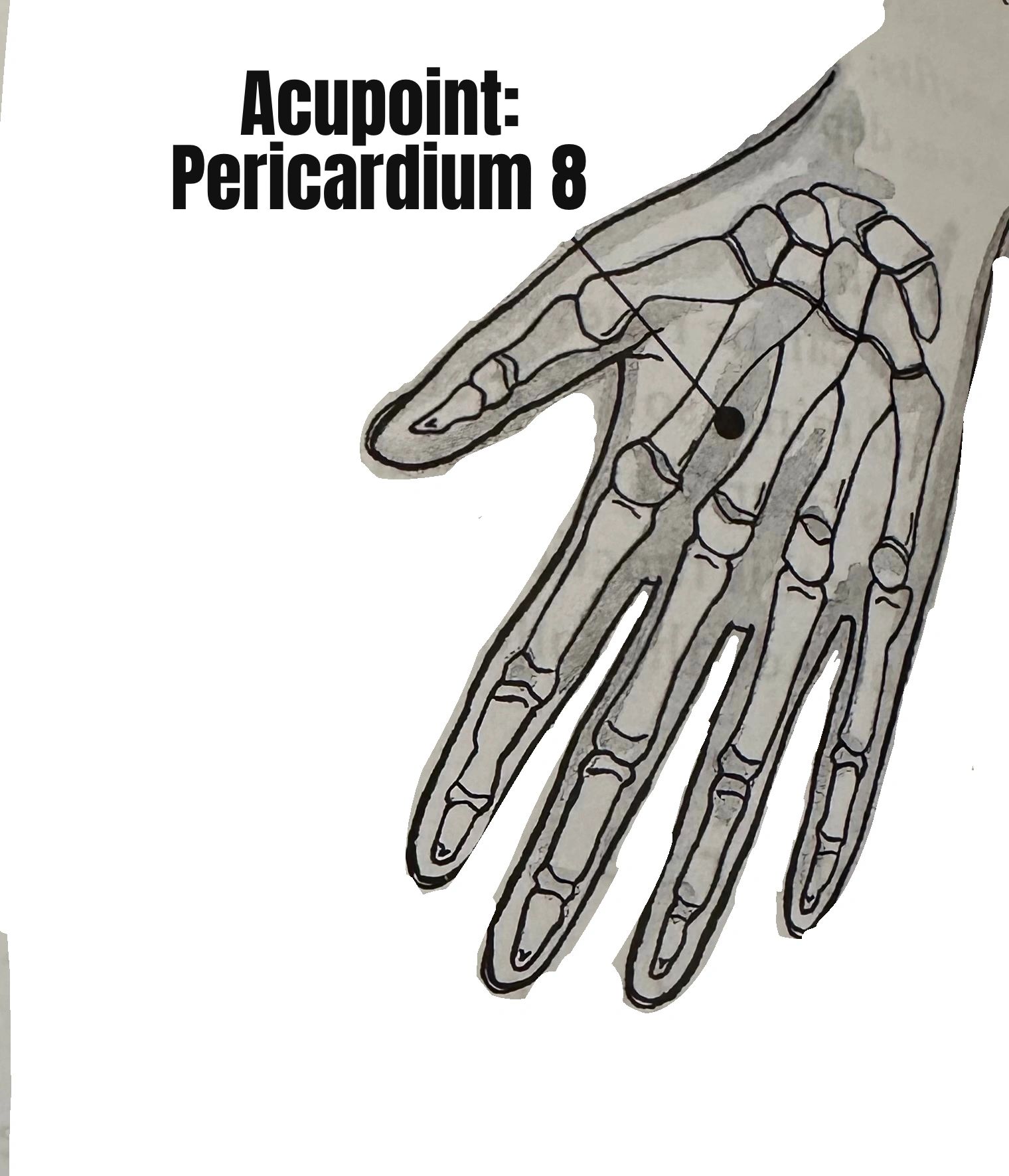 Longevity Acupressure Form