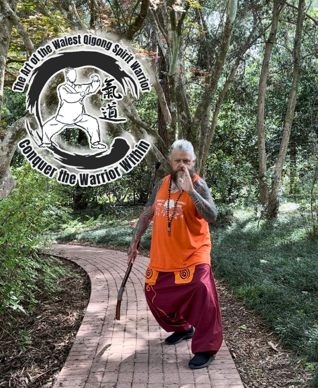 Waiest Qigong Spirit Warrior Tao 道 Walking Staff Qi Form