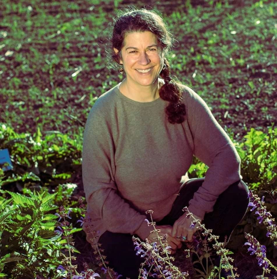 HOME [sarademetry.com]