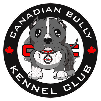 Cbkc - Canadian Bully Kennel Club