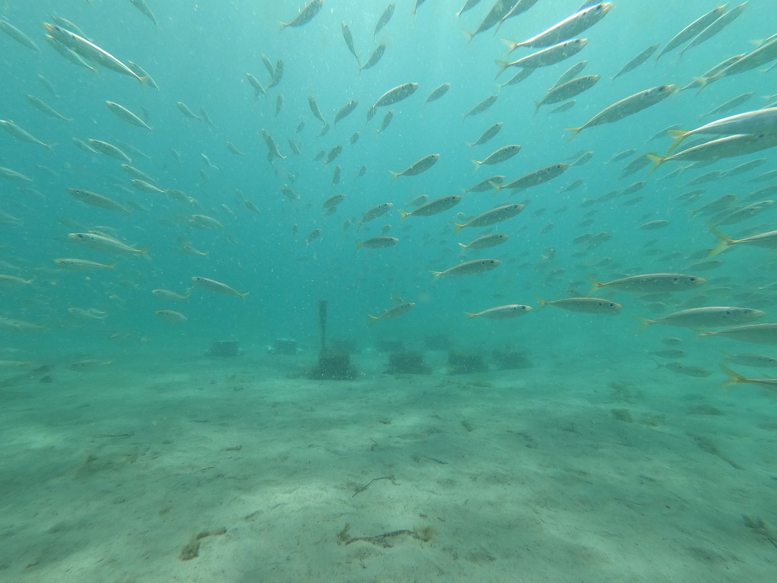 Changing Ocean Program