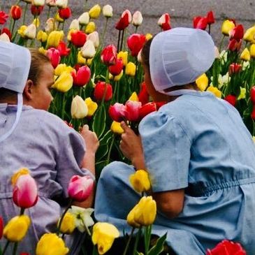 Amish Heritage Tours - Ohio's Amish Country Group Tours