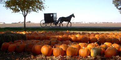 Amish Fall Harvest Tours | Amish Heritage Tours