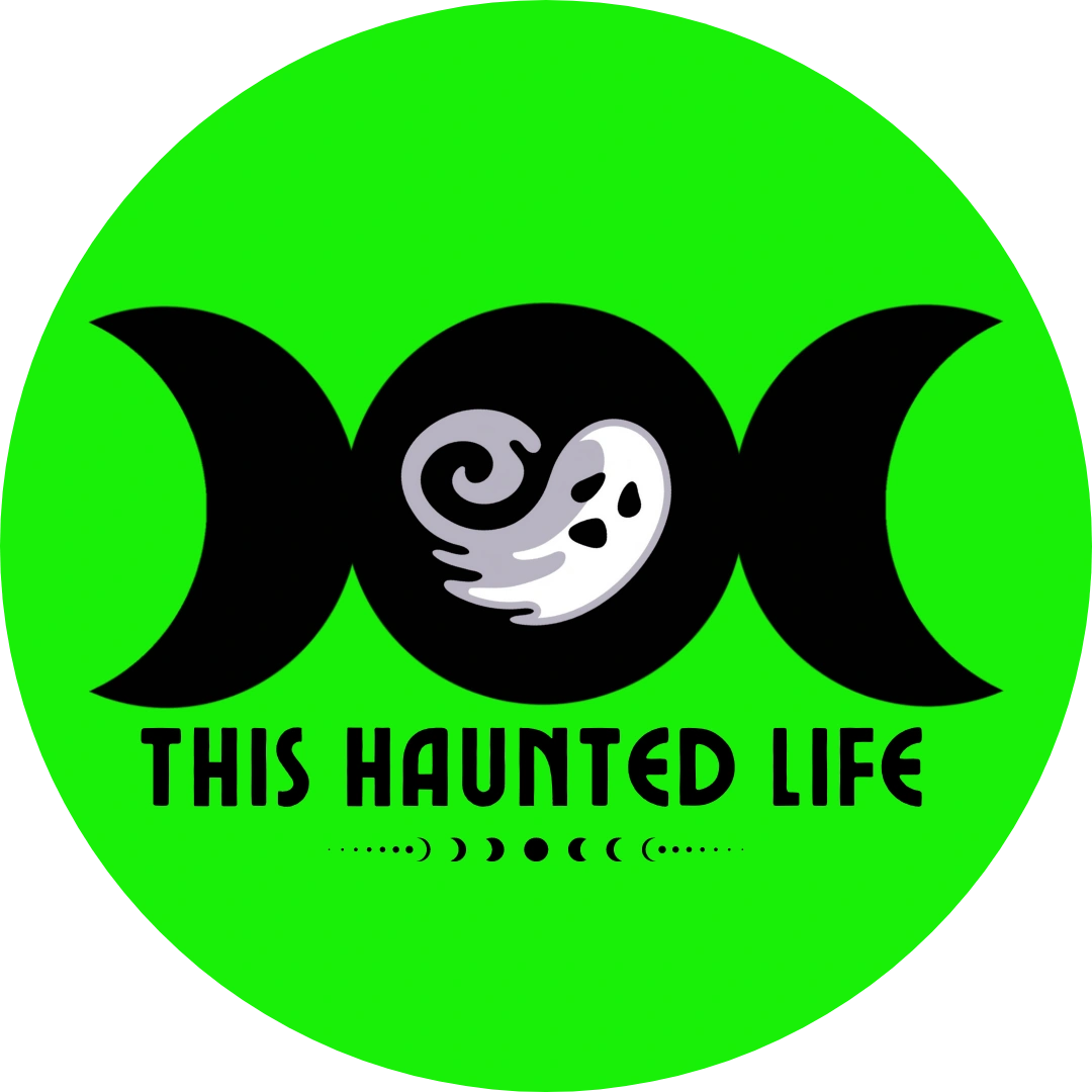 Paranormal Investigation | This Haunted Life
