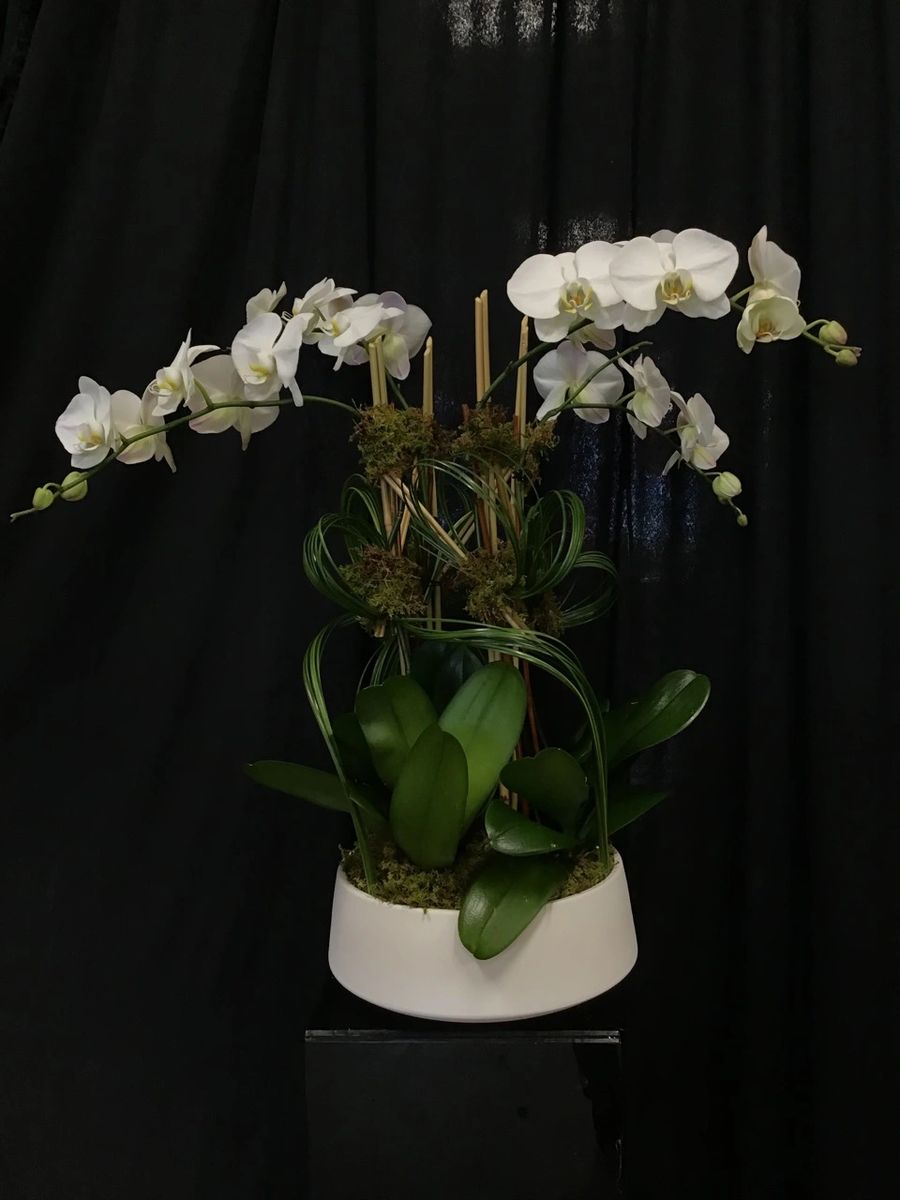 Quadruple Orchid (Ceramic)