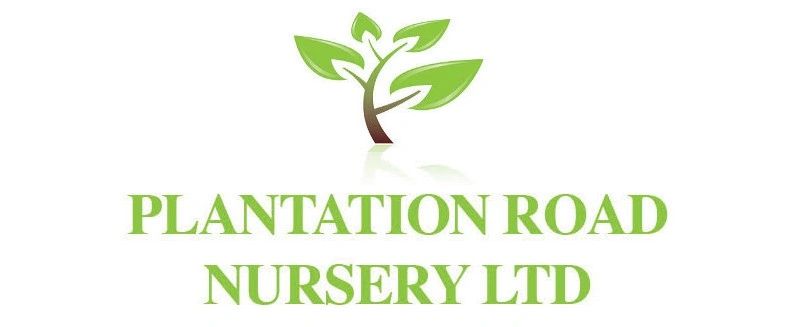 Plantation Road Nursery Ltd - Plant Nursery, Nursery, Garden Centre